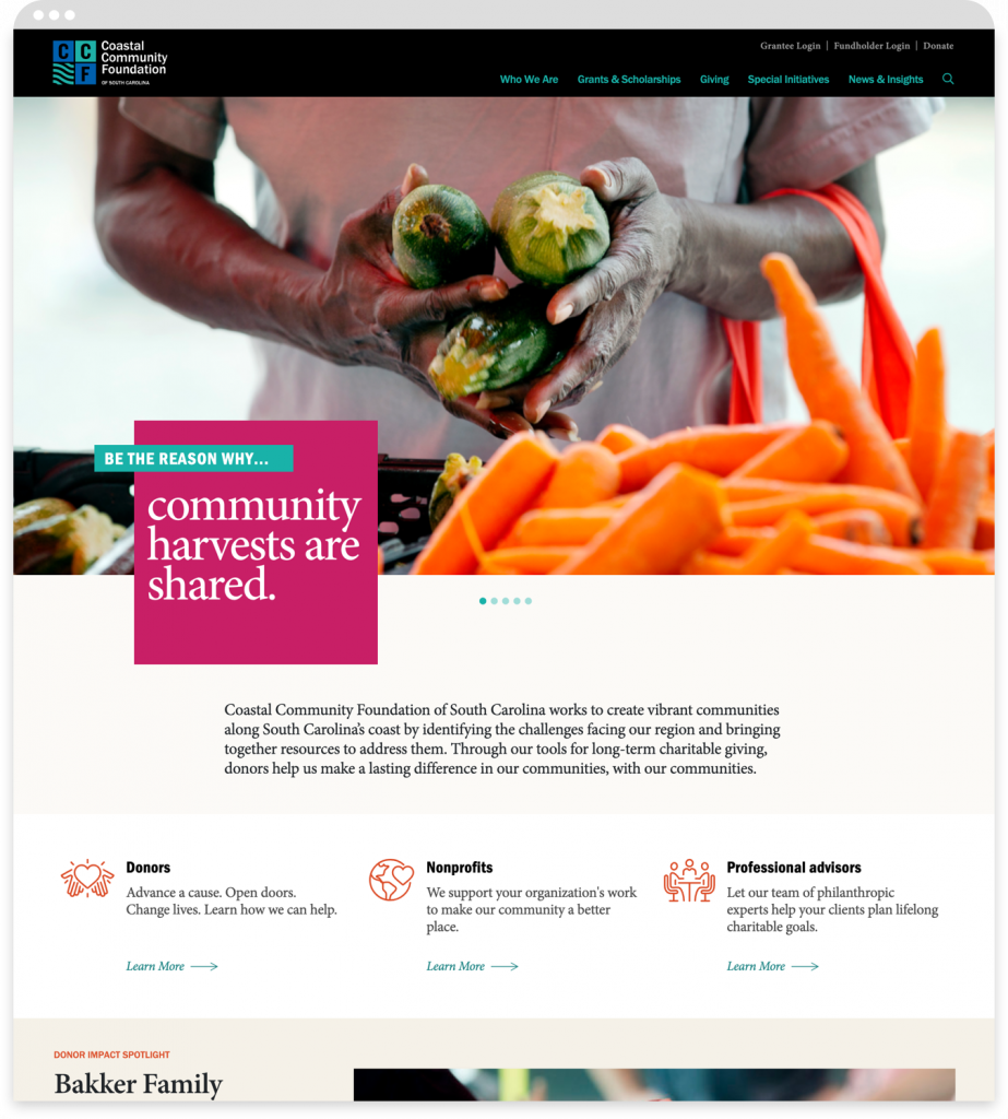 Coastal Community Foundation Branding - Landesberg Design