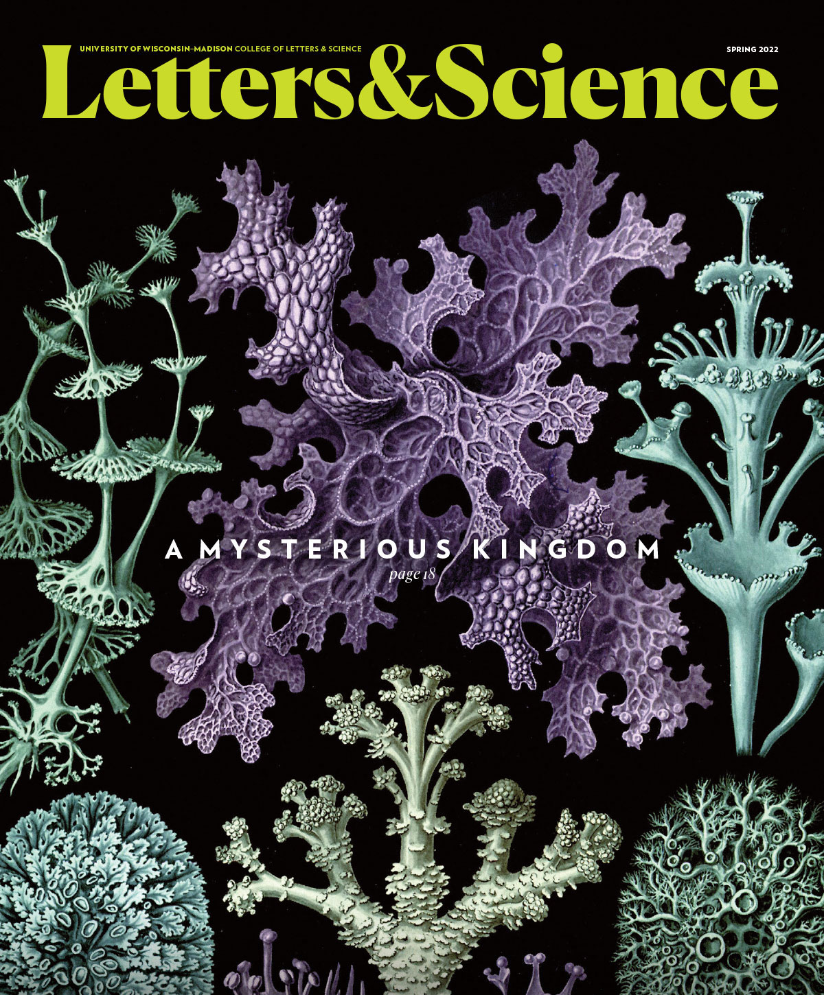 Letters & Science Magazine - Landesberg Design